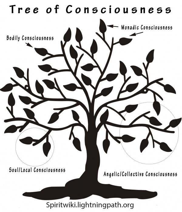 Tree of Consciousness - The SpiritWiki